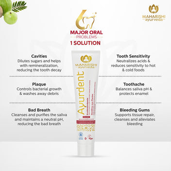 Ayurdent Classic – Ayurvedic Toothpaste for Toothache & Gum Care